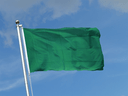 green Flag for Sale - Buy online at Royal-Flags
